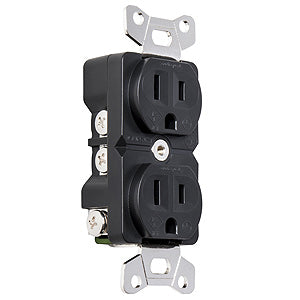 AudioQuest NRG Edison Duplex Wall Outlet – Audio Solutions